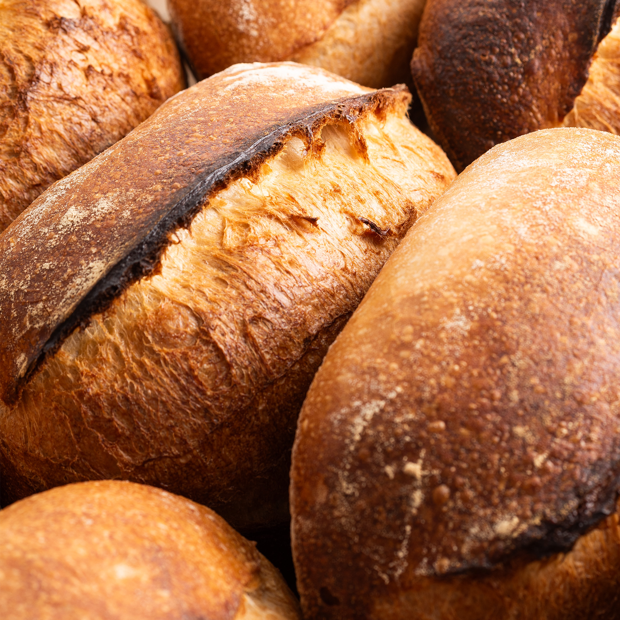 Sourdough Loaf – EBY Bakehouse